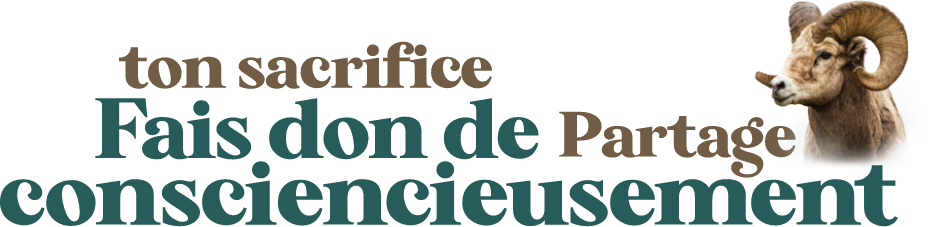 Hasene – Ensemble pour les victimes et les opprimés