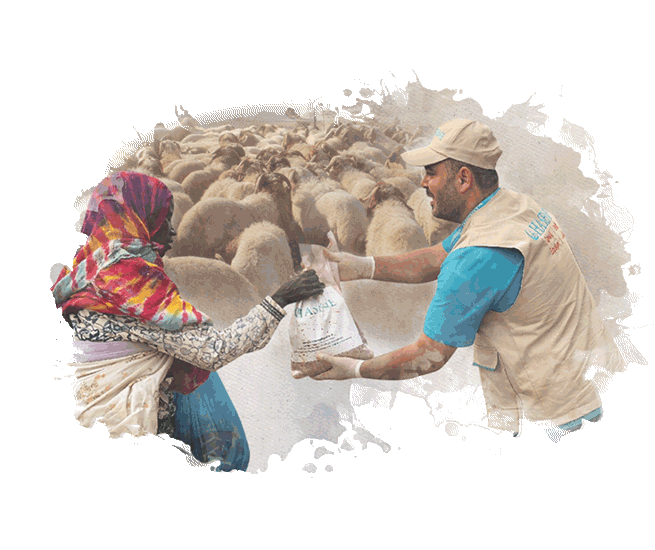 Hasene – Ensemble pour les victimes et les opprimés